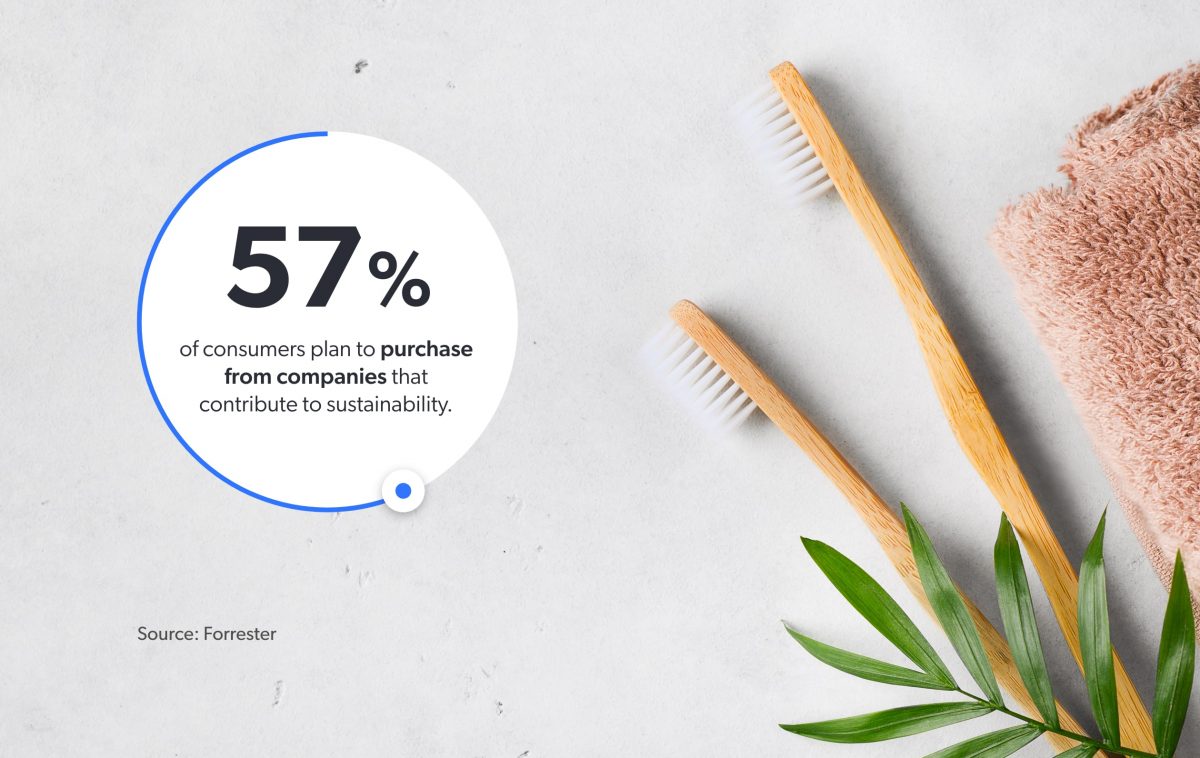 Sustainability in Ecommerce: How to Serve the Conscious Consumer